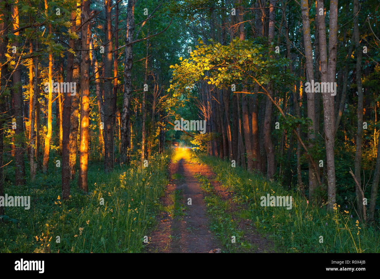 Summer and sunset hi-res stock photography and images - Alamy