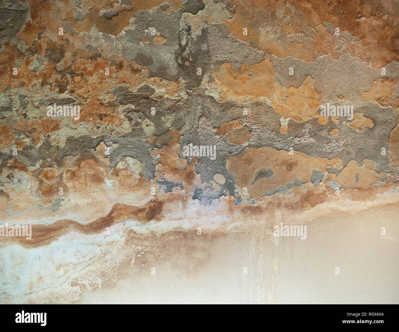 Building wall infected with fungus Stock Photo - Alamy