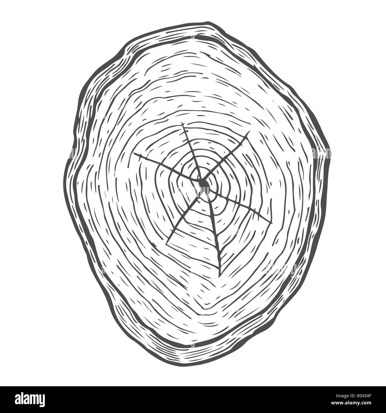 Hand drawn illustration of wood saw cut. Highly detailed ink art in ...