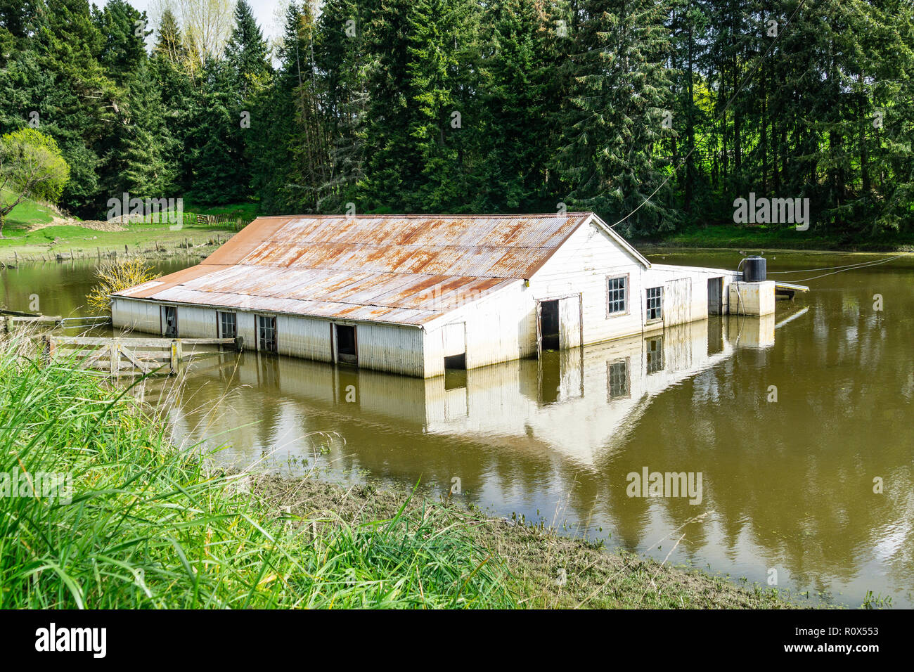 Flooded farm building surrounded with water following the rain Stock ...
