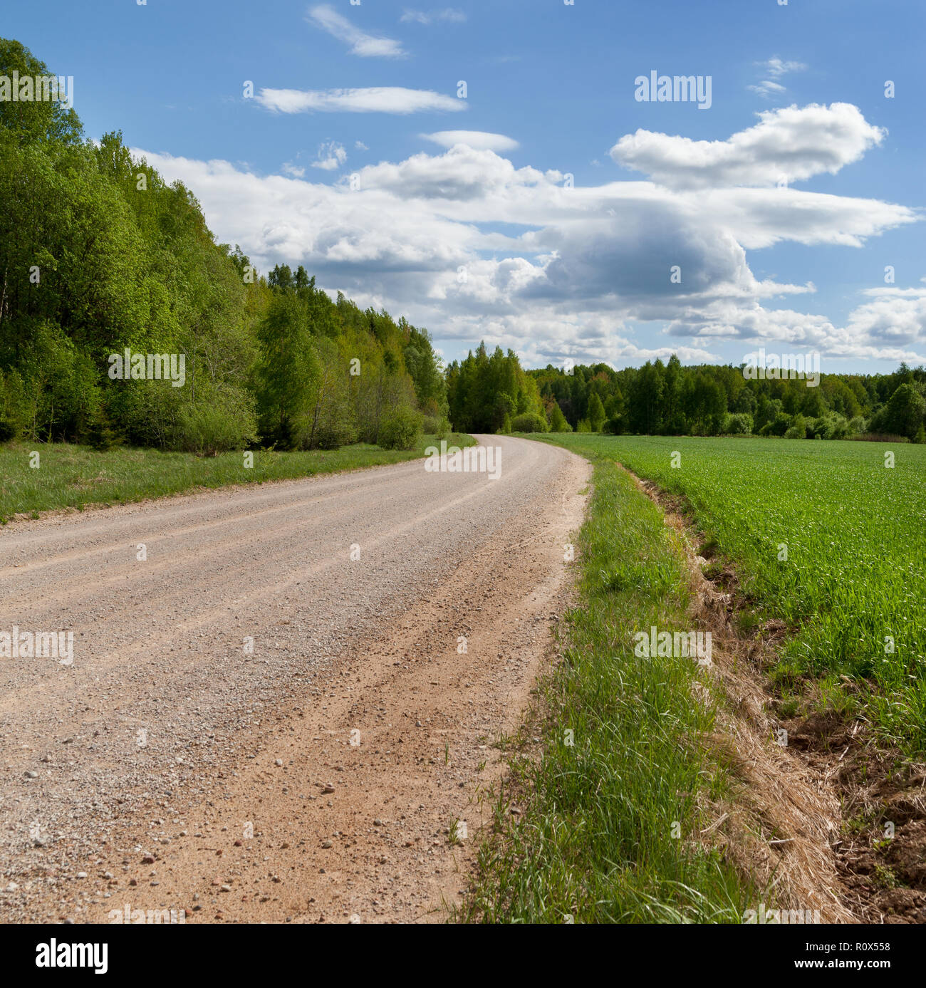 Natural gravel road in countryside Stock Photo - Alamy