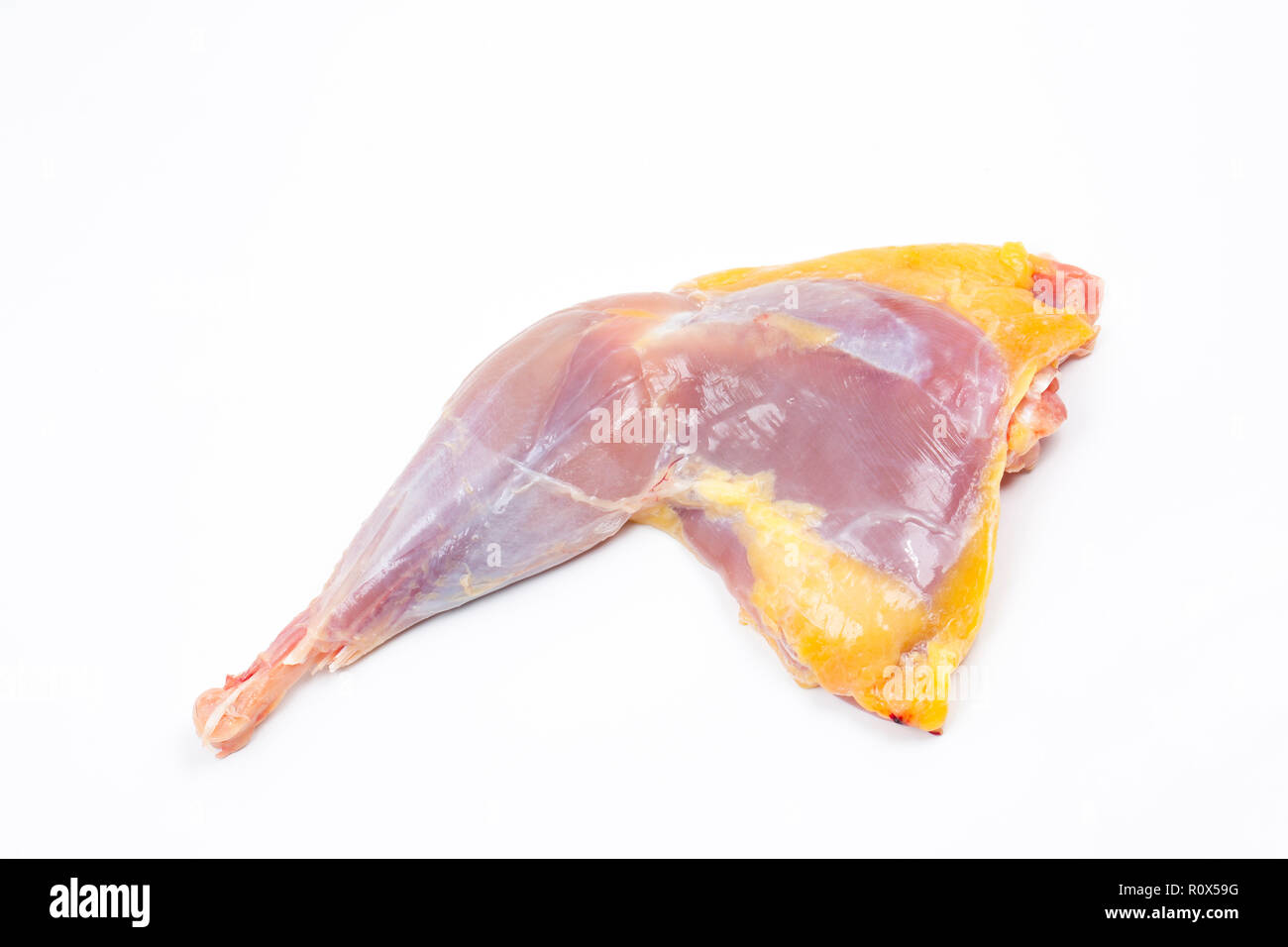 Pheasant leg white background hi-res stock photography and images - Alamy