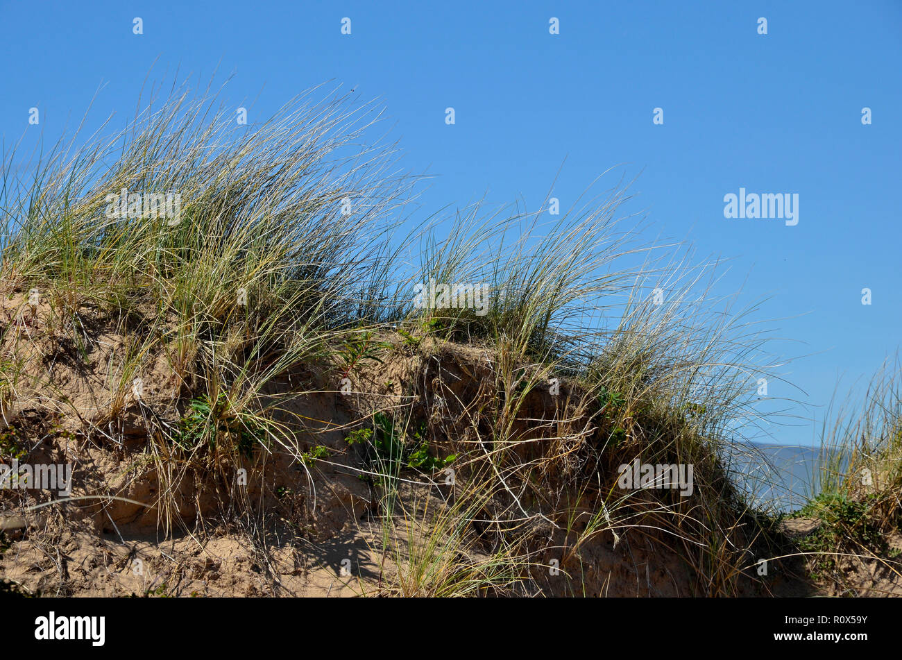 Sandscale haws hi-res stock photography and images - Alamy