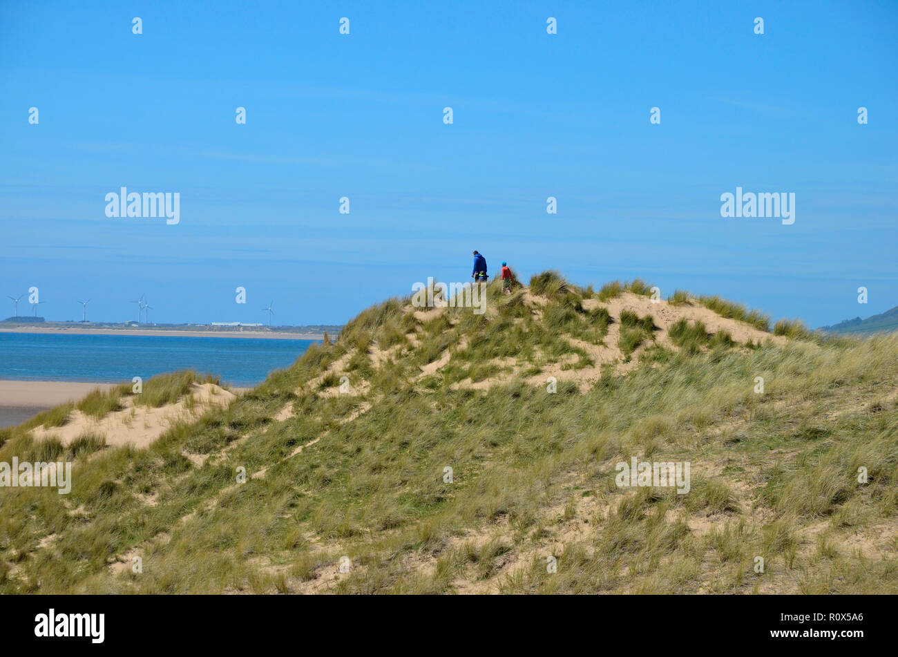 Sandscale haws and natterjack toads hi-res stock photography and images ...