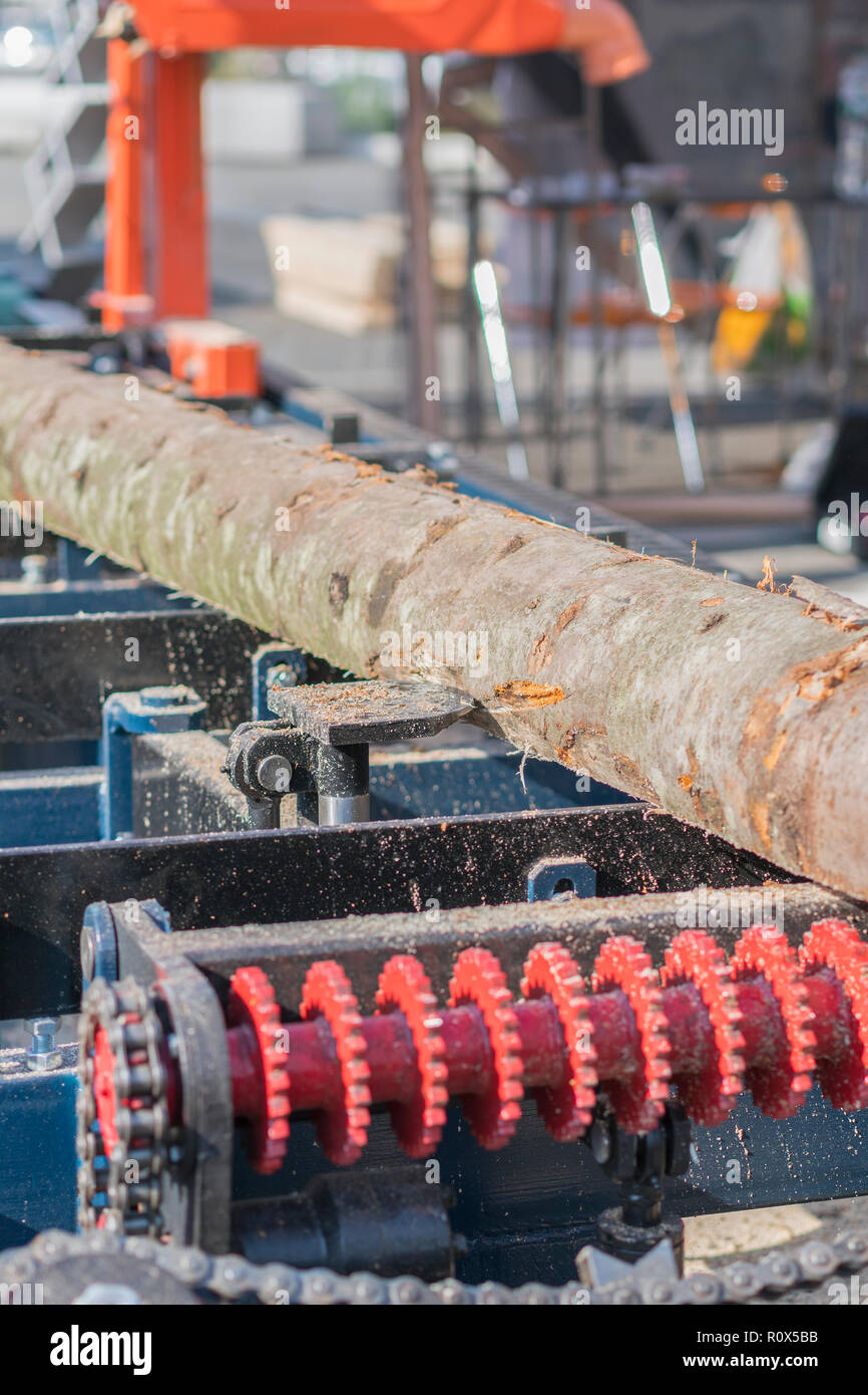 Partially milled log on a portable lumber milling machine. vertical ...