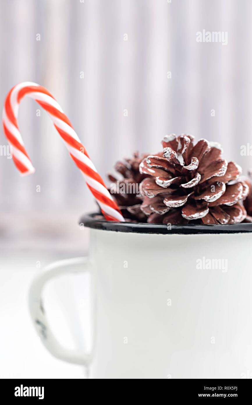 Christmas candy cane sticks in white tin cup with fir cones. Light ...