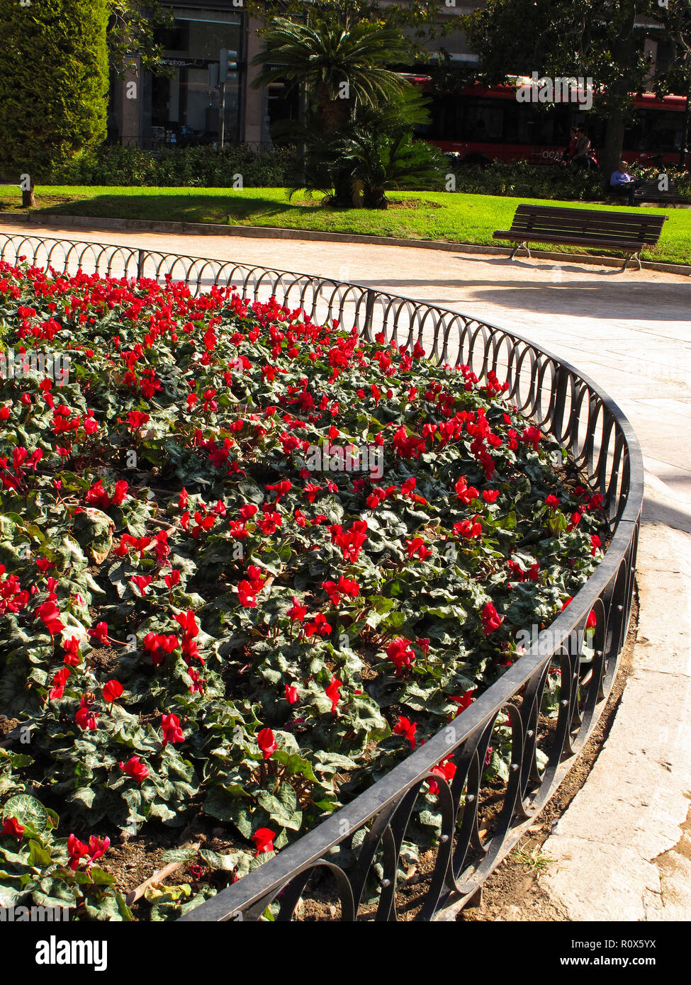 Rose valencia hi-res stock photography and images - Alamy