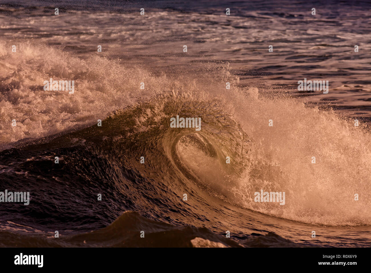 Crest Of A Wave Stock Photos & Crest Of A Wave Stock Images - Alamy