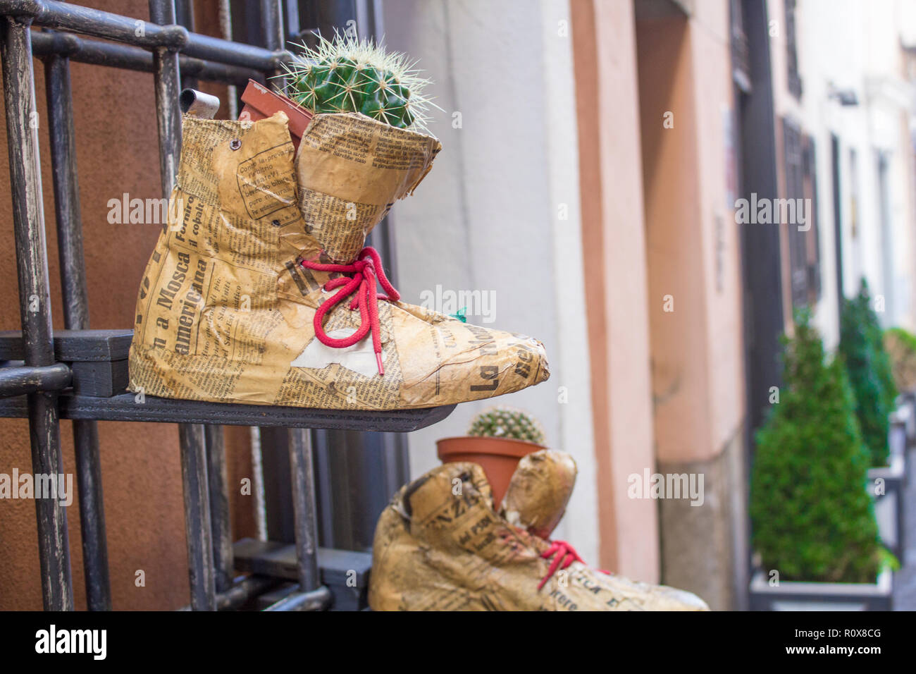 flowers in boots Stock Photo - Alamy