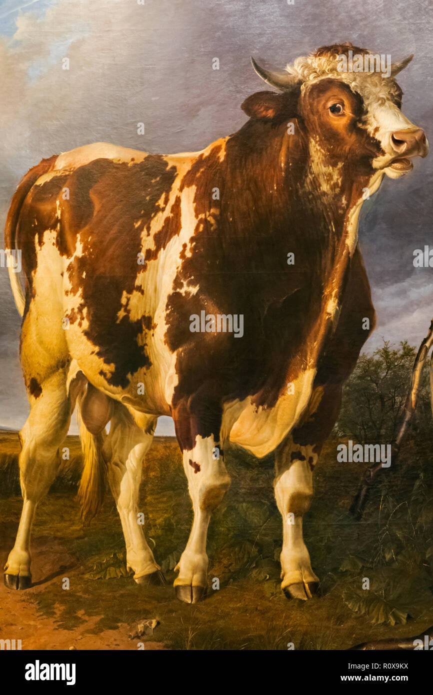 England, Kent, Canterbury, The Beaney House of Art and Knowledge ...