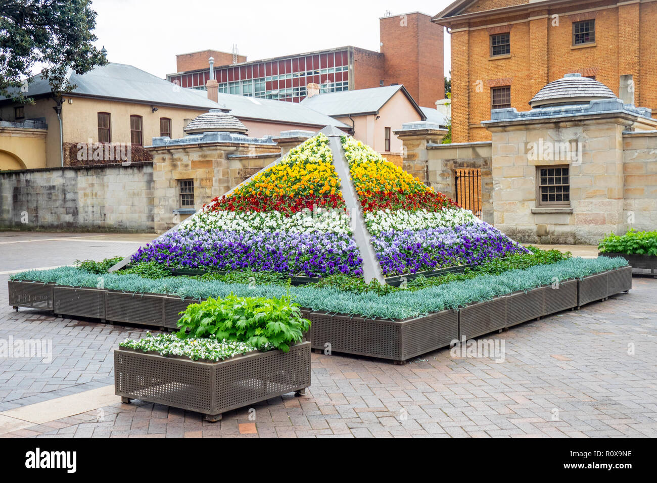 Pyramid shaped flower bed in Macquarie Street in front of Hyde Park ...