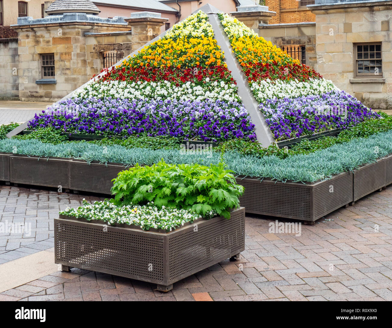 Pyramid shaped flower bed in Macquarie Street in front of Hyde Park ...