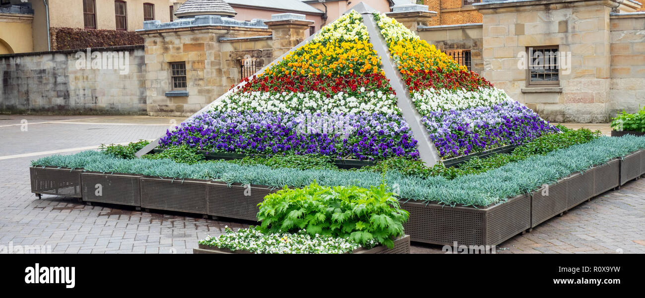 Pyramid shaped flower bed in Macquarie Street in front of Hyde Park ...