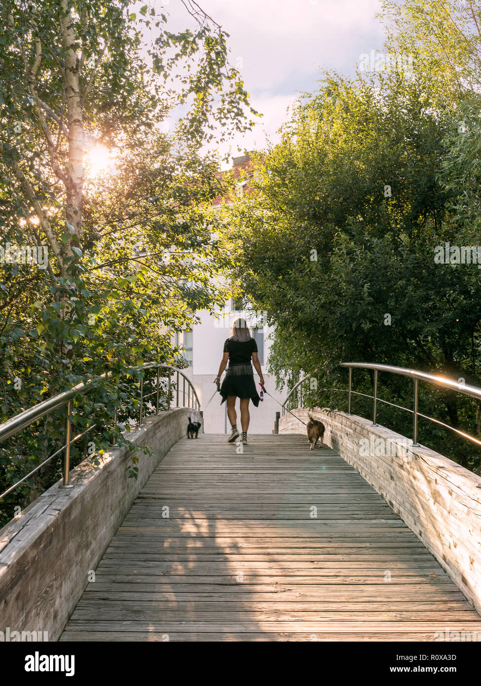 Bridge two dogs hi-res stock photography and images - Alamy