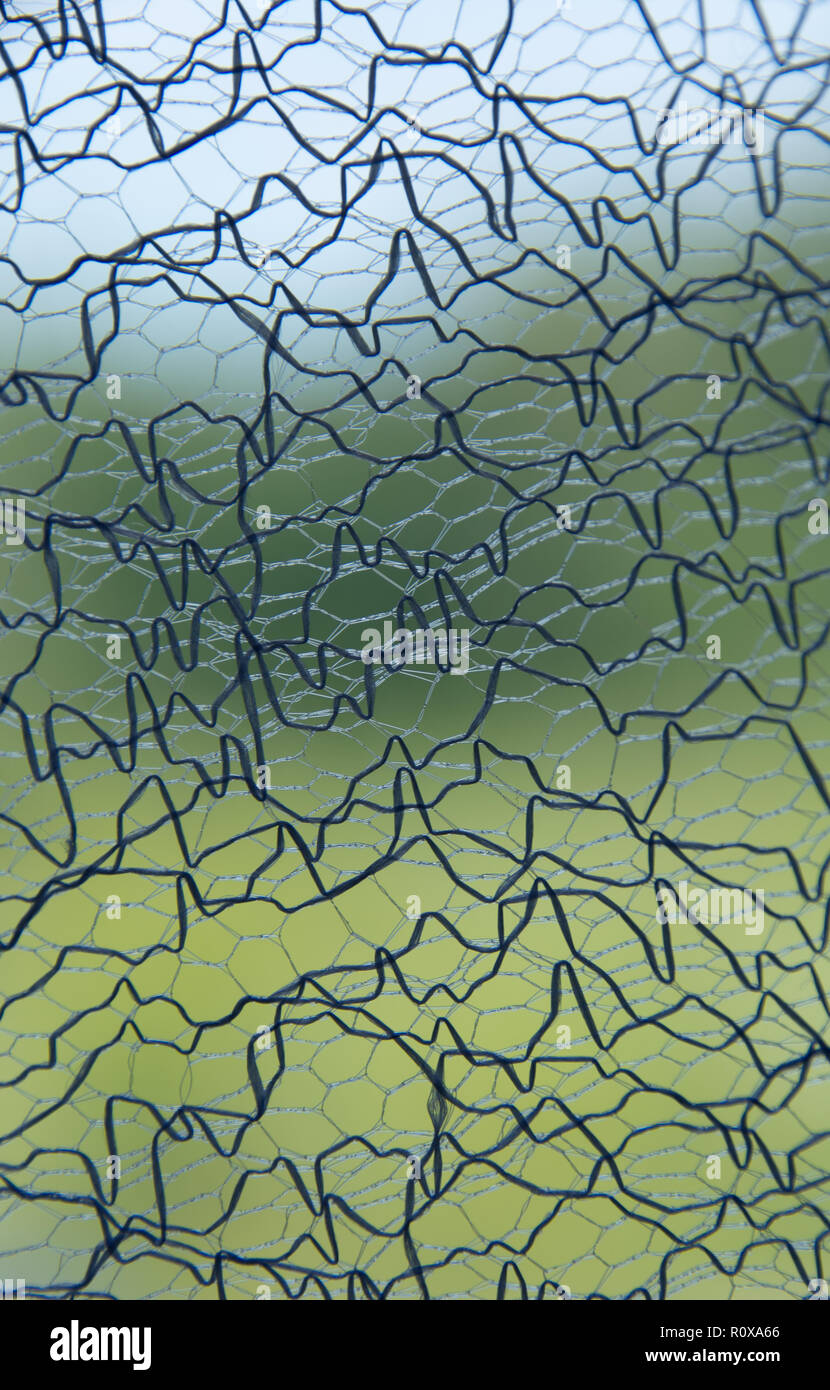 Interlacing threads. Mesh woven from black and blue threads on blue and ...