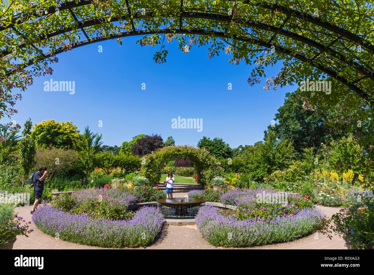England, Surrey, Guildford, Wisley, The Royal Horticultural Society ...