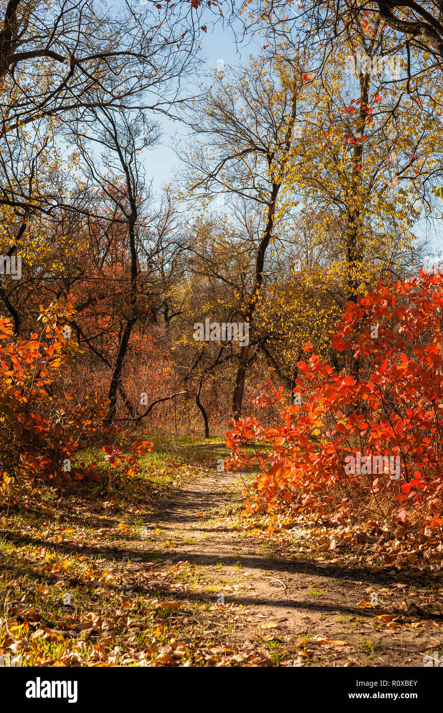 Cover season hi-res stock photography and images - Alamy