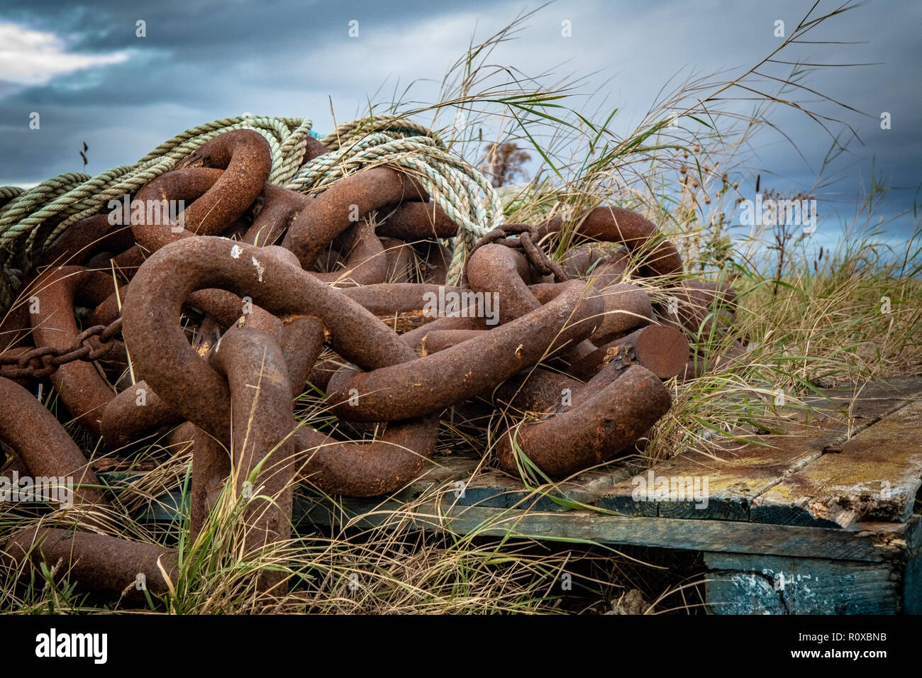 A large rusty chain among grass being blown by the wind. Taken on ...