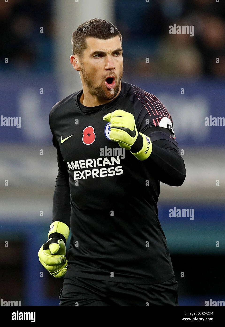 Brighton & Hove Albion goalkeeper Mathew Ryan Stock Photo - Alamy