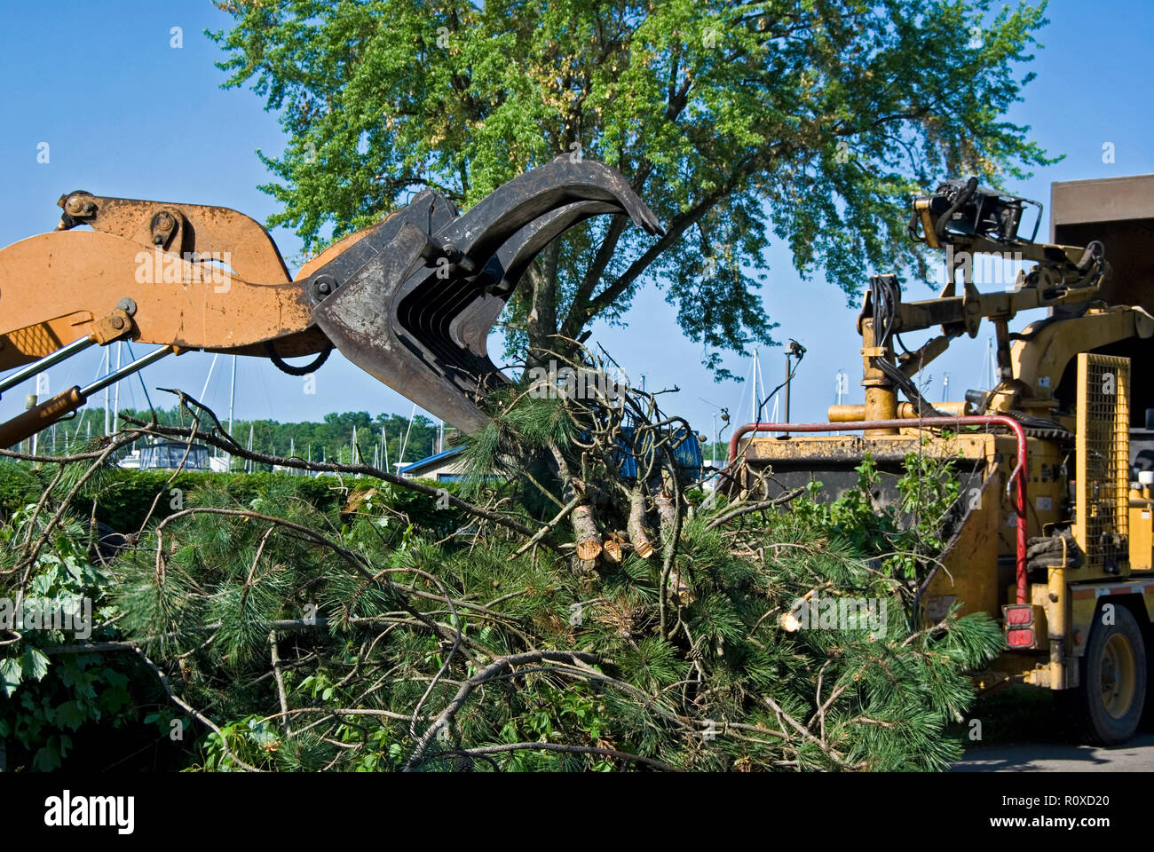 Tree chipper hi-res stock photography and images - Alamy