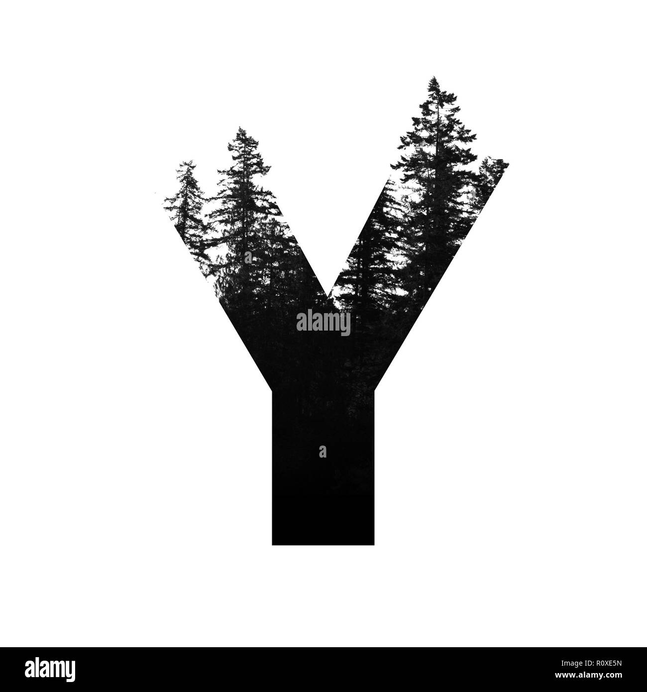 Letter y pine Black and White Stock Photos & Images - Alamy