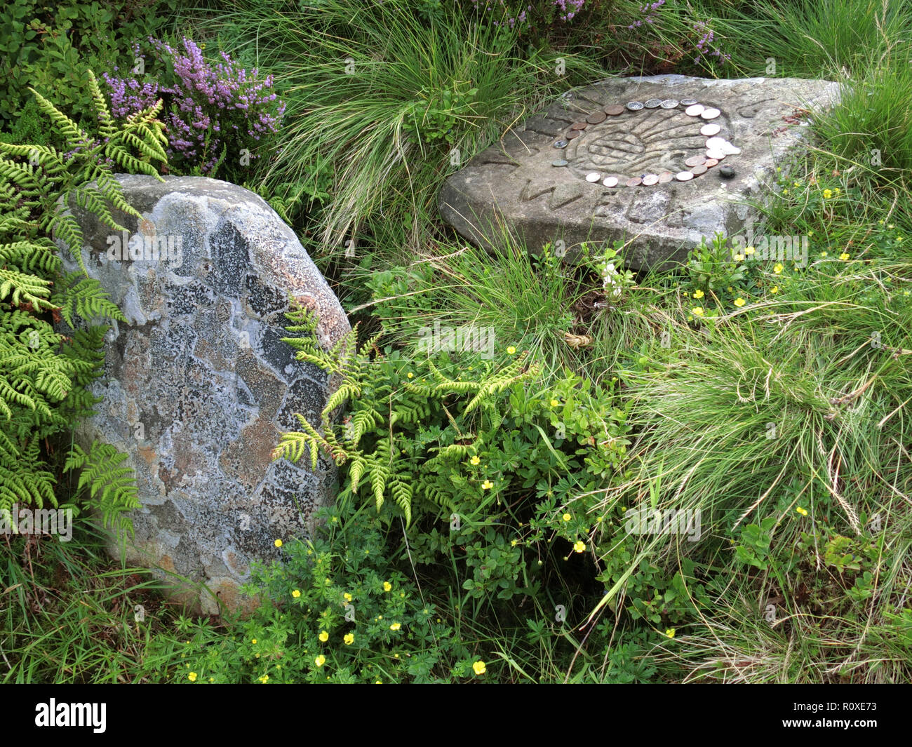 Minch moor spring hi-res stock photography and images - Alamy