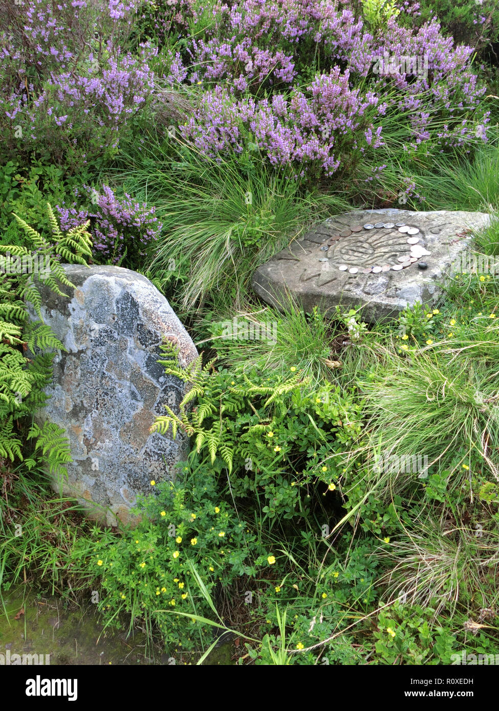 Minch moor springs hi-res stock photography and images - Alamy