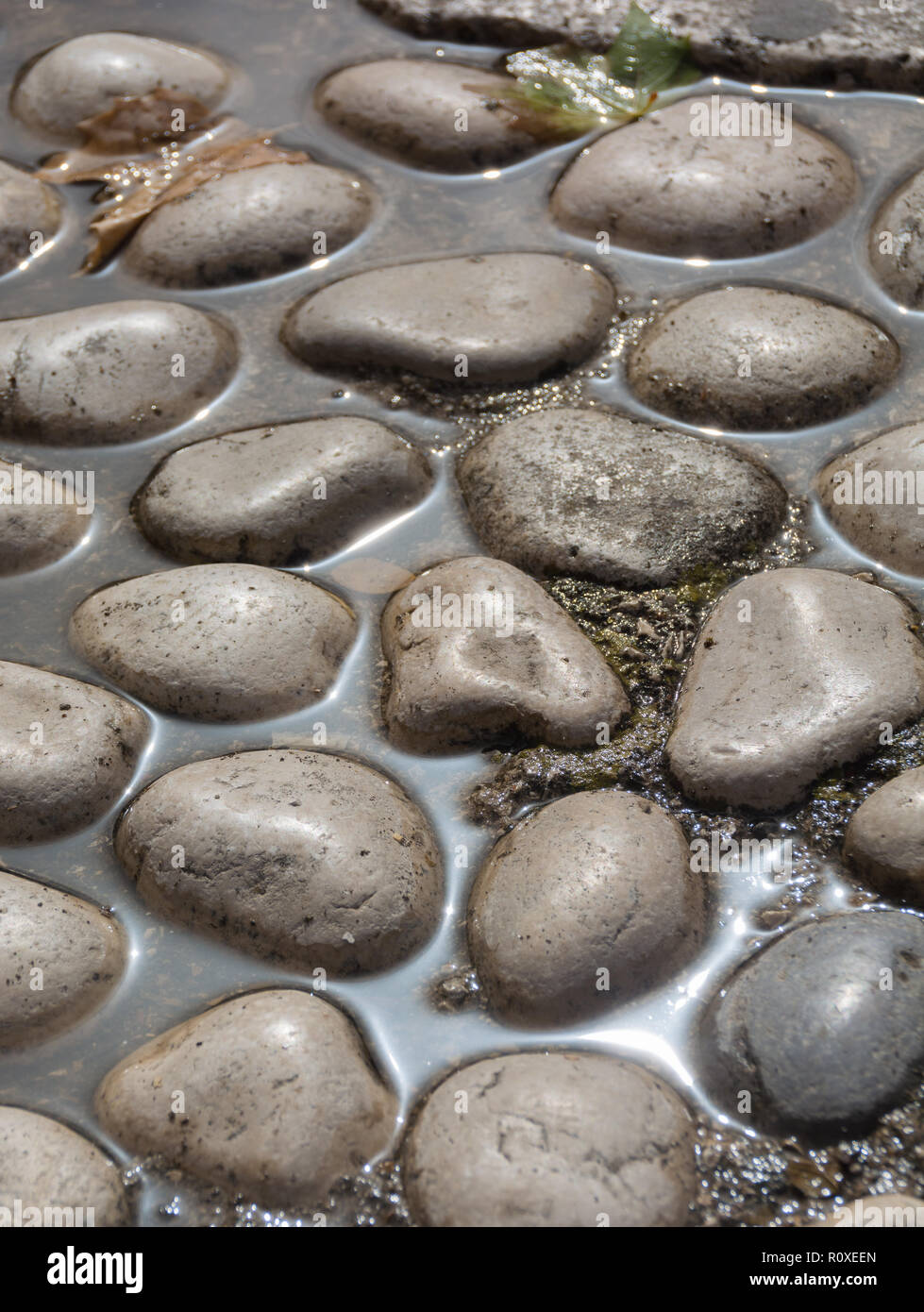 Wet cobblestones pavement, paving stones. Close-up view just after rain ...