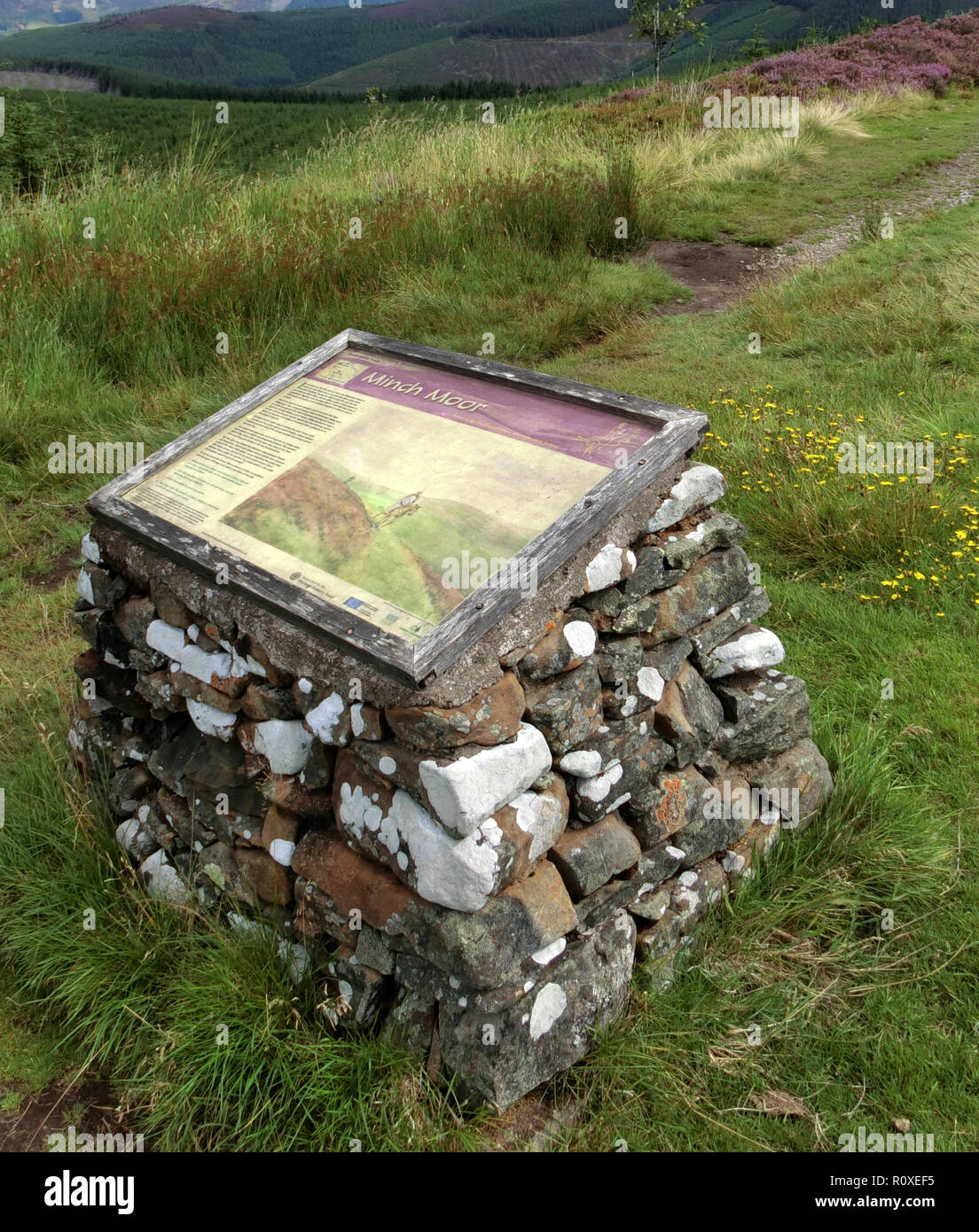 Cross Borders Drove Road ( part of the Southern Upland Way ), Minch ...