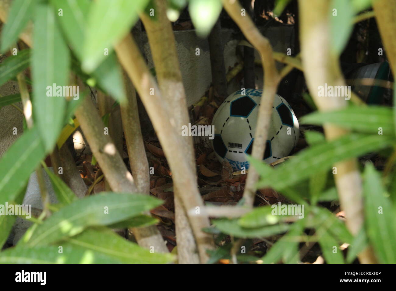Soccer ball lost in bush hi-res stock photography and images - Alamy