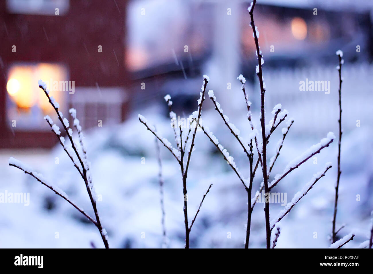 Snowfall night forest house hi-res stock photography and images - Alamy