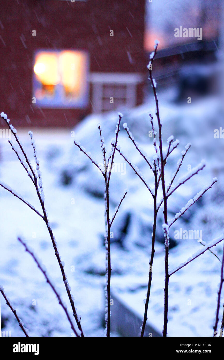Snowfall night forest house hi-res stock photography and images - Alamy