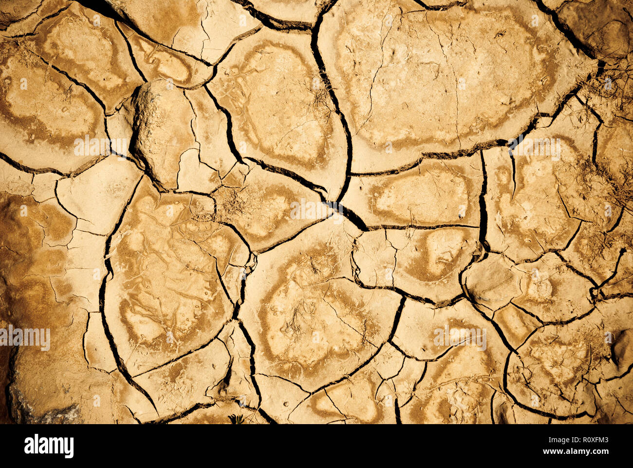 Desert ground hi-res stock photography and images - Alamy