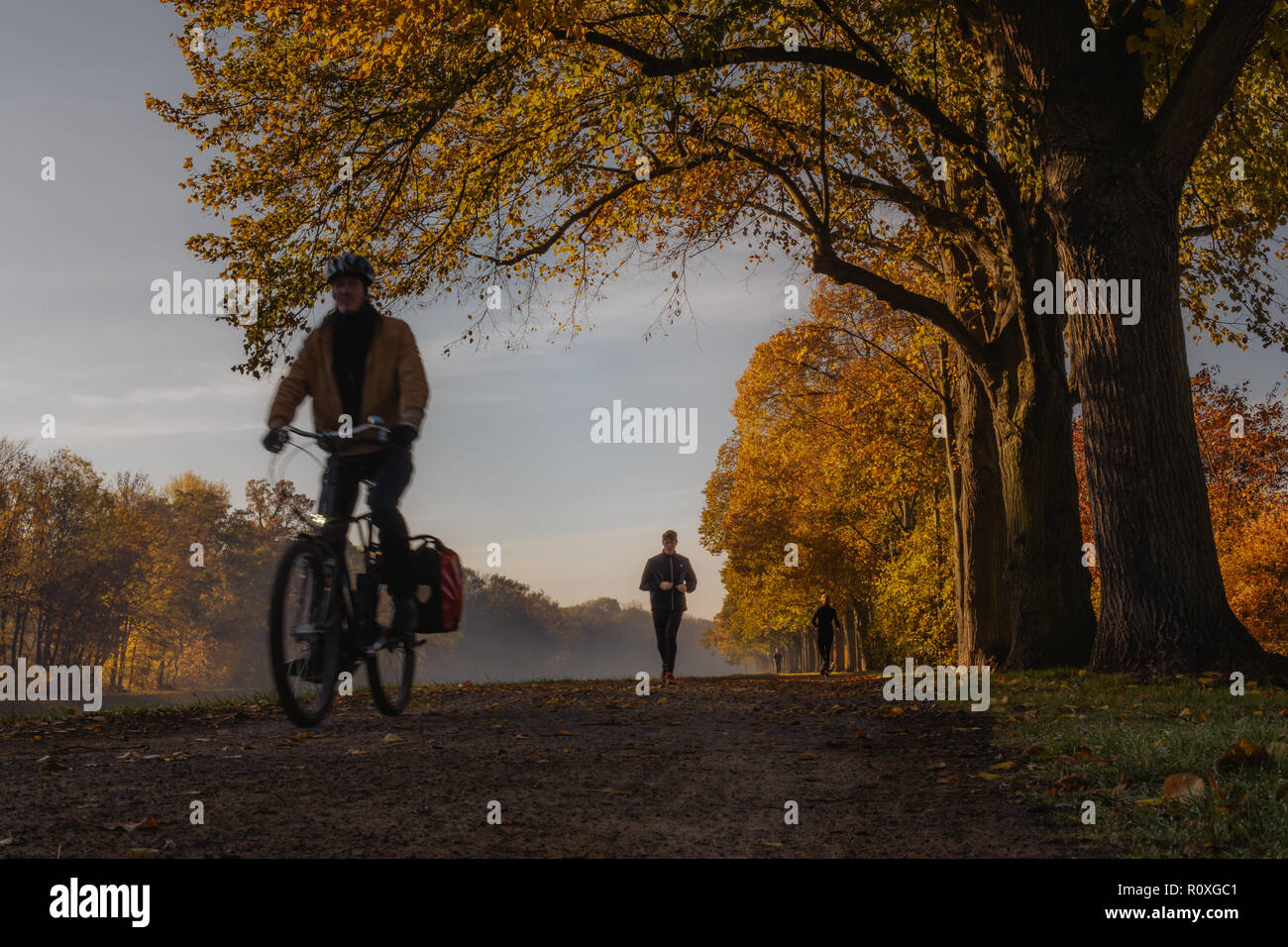 biker and runners in an autumn landscape Stock Photo - Alamy