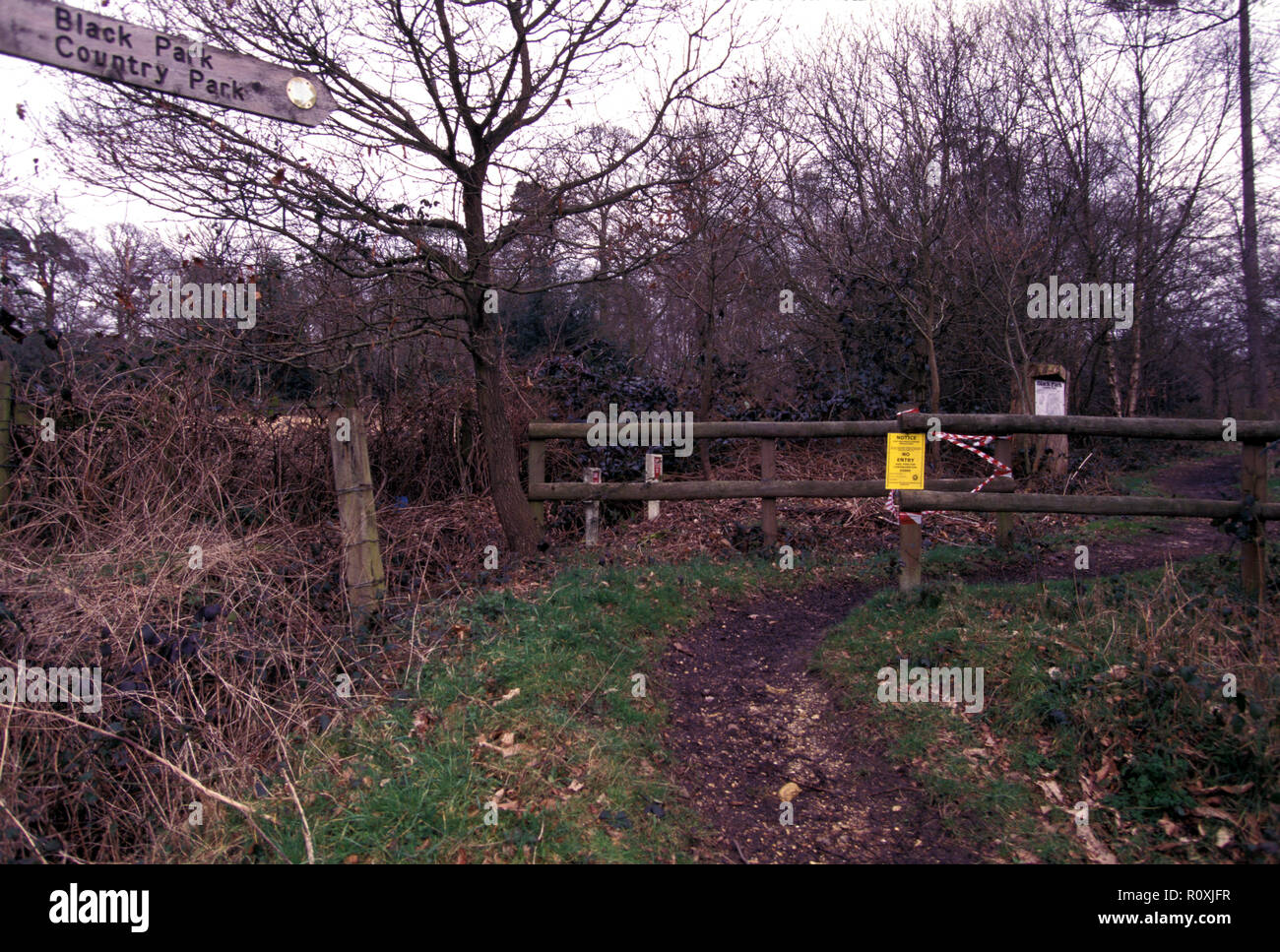 NOT 1319424 ENGLAND BUCKINGHAMSHIRE Black Park is a Country Park in ...