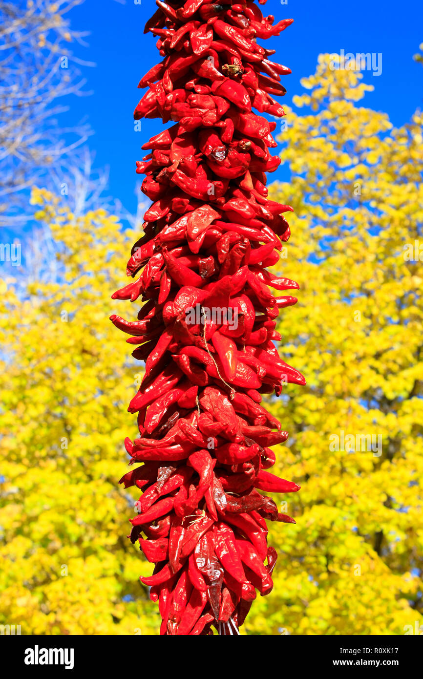 Red Chilli Ristas hanging in the Plaza, drying in the warm fall ...