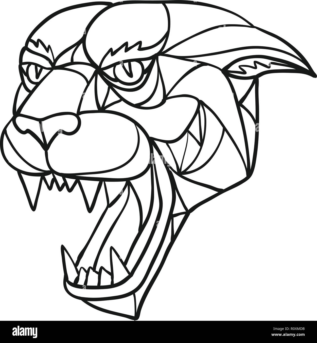 Cougar Face Growling Drawing