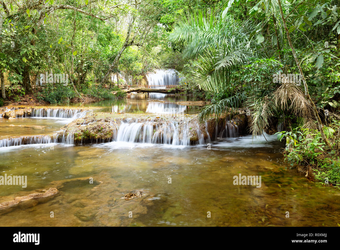 Beautifull waterfalls in the rainforest / landscape Stock Photo - Alamy
