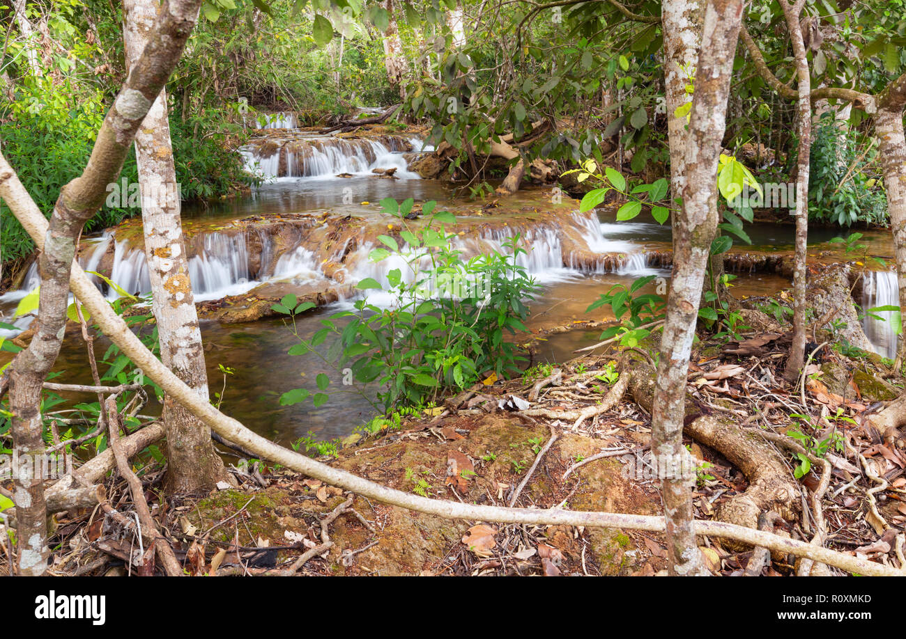 Beautifull waterfalls in the rainforest / landscape Stock Photo - Alamy