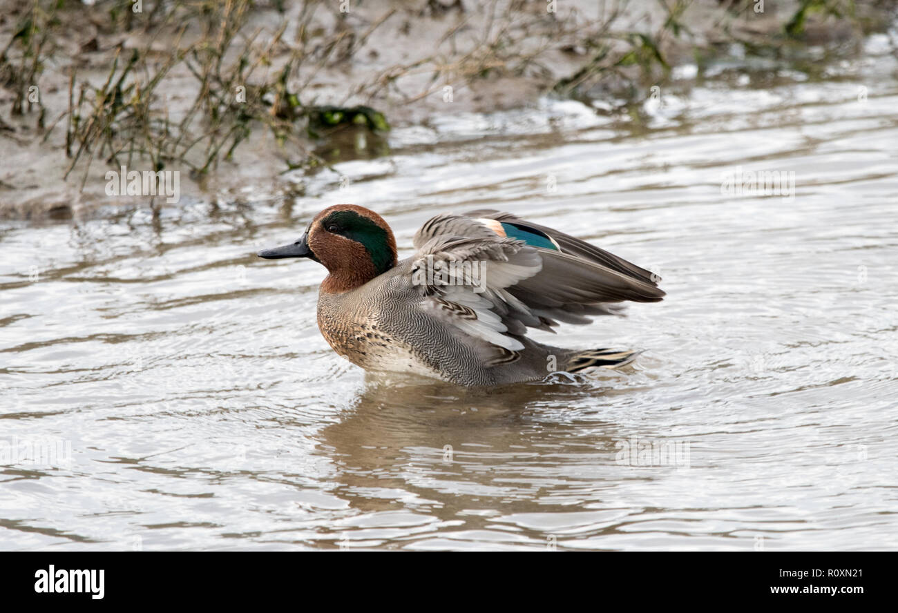 Teal colour water hi-res stock photography and images - Alamy
