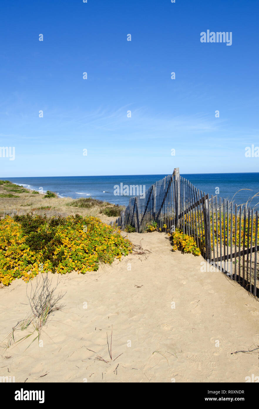 Seashore hi-res stock photography and images - Alamy