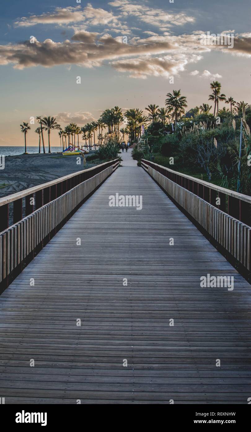 Walking through the wooden bridge between exotic scenery of palm trees ...