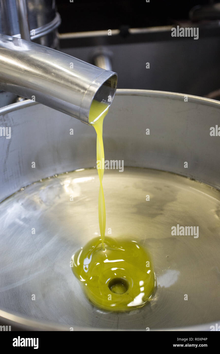 Fresh pressed olives now as the oil in the metal sink Stock Photo - Alamy