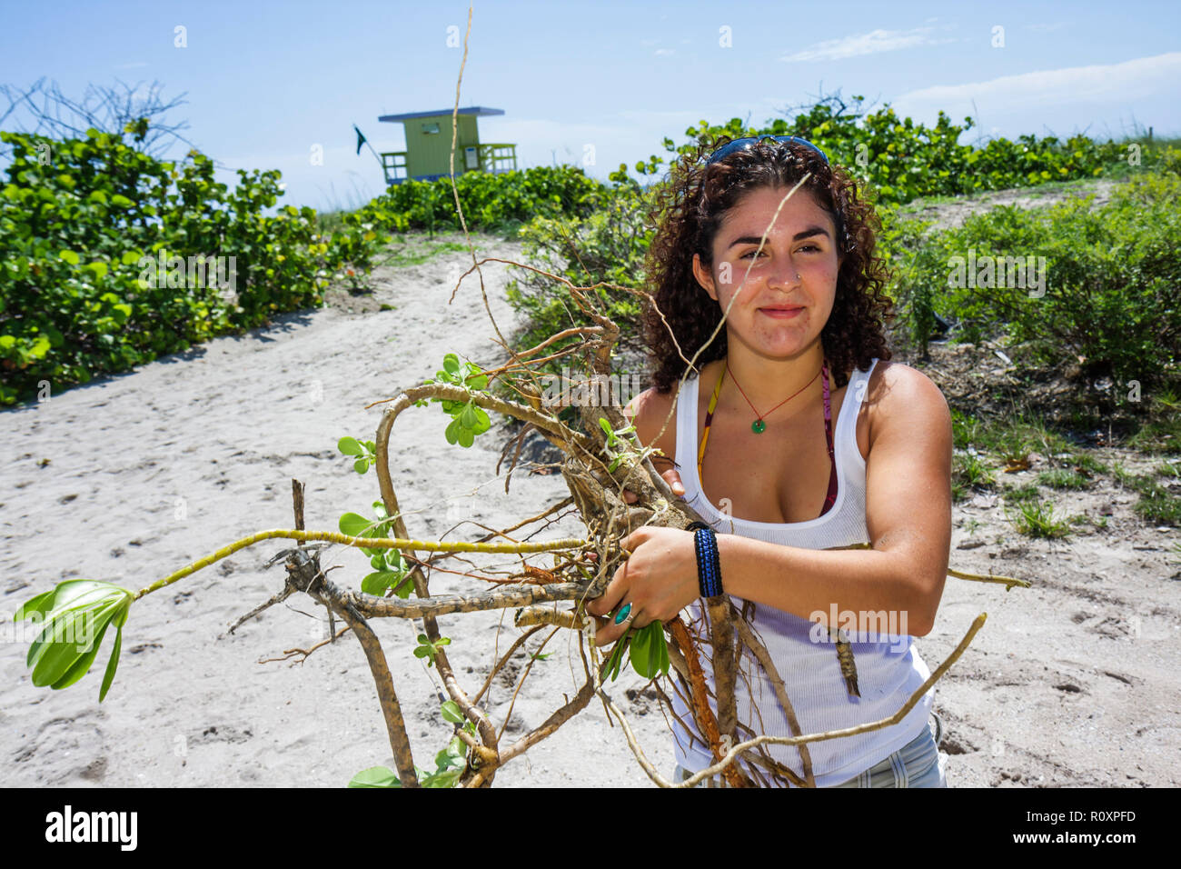 Miami Beach Florida,Beach View Park,Surfrider Foundation,Coastal Dune ...