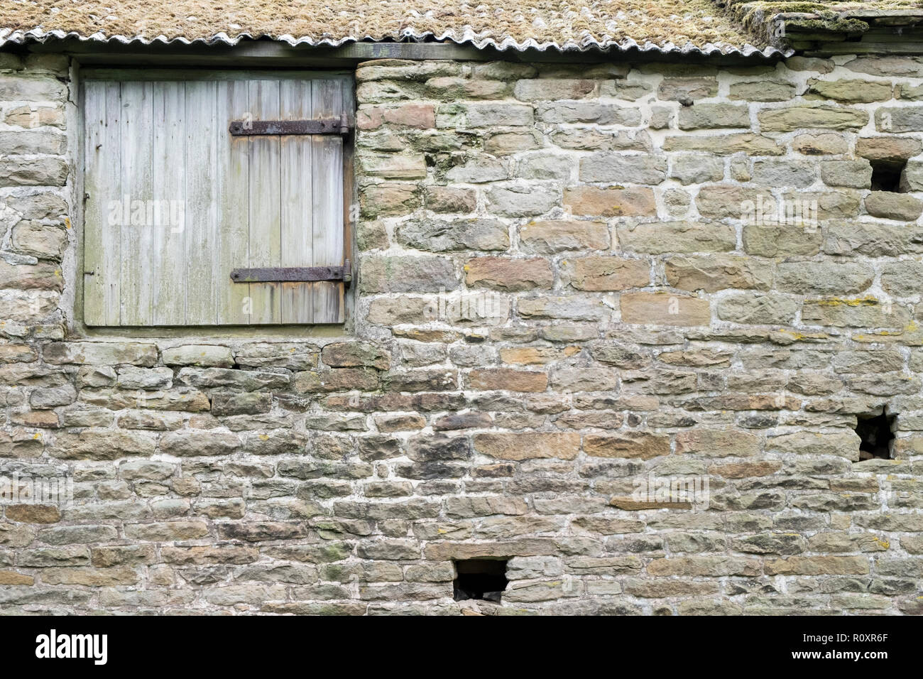 Detail of the exterior of a stone barn wall, Derbyshire, England, UK ...