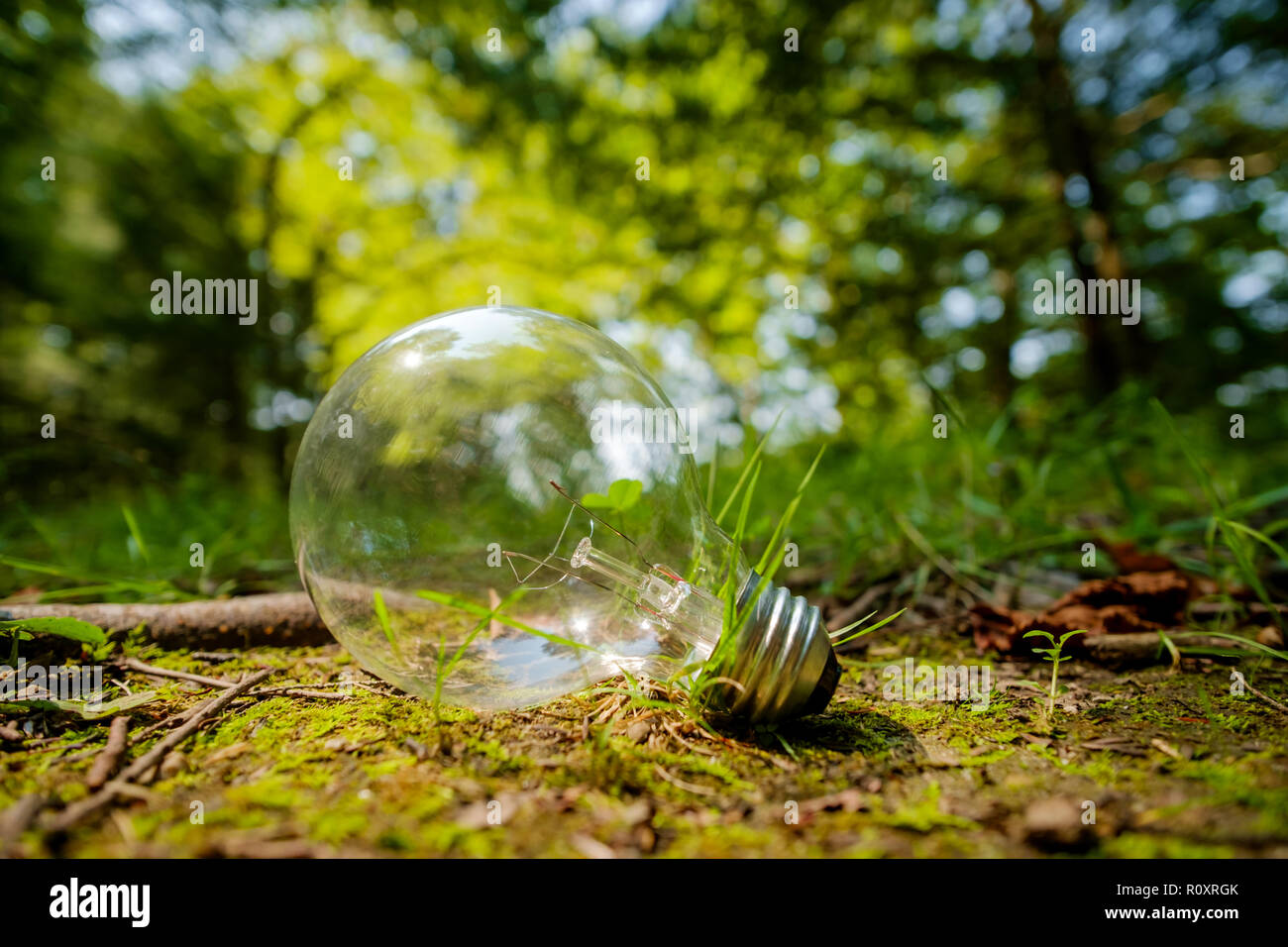Antique Edison globe style light bulb resting on woodland floor Stock ...