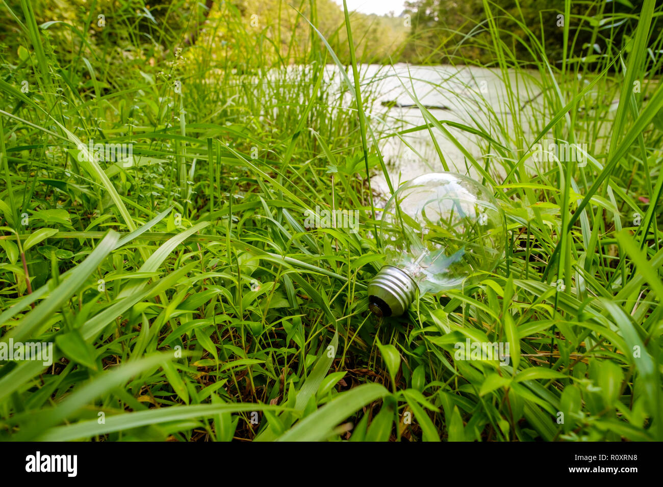 Antique Edison globe style light bulb resting on woodland floor Stock ...