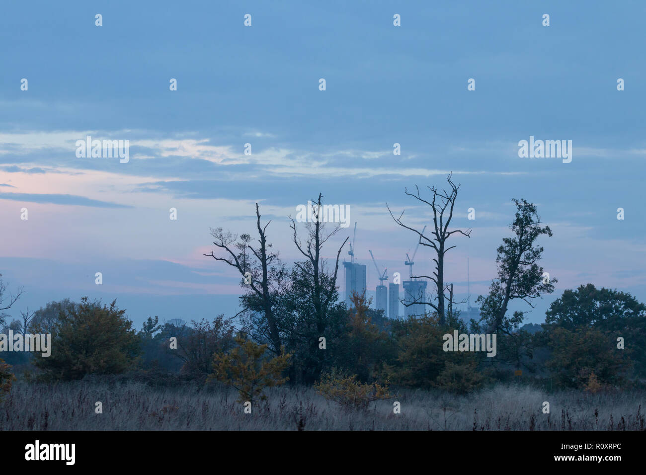 High-rise development in Woking town centre from surrounding ...