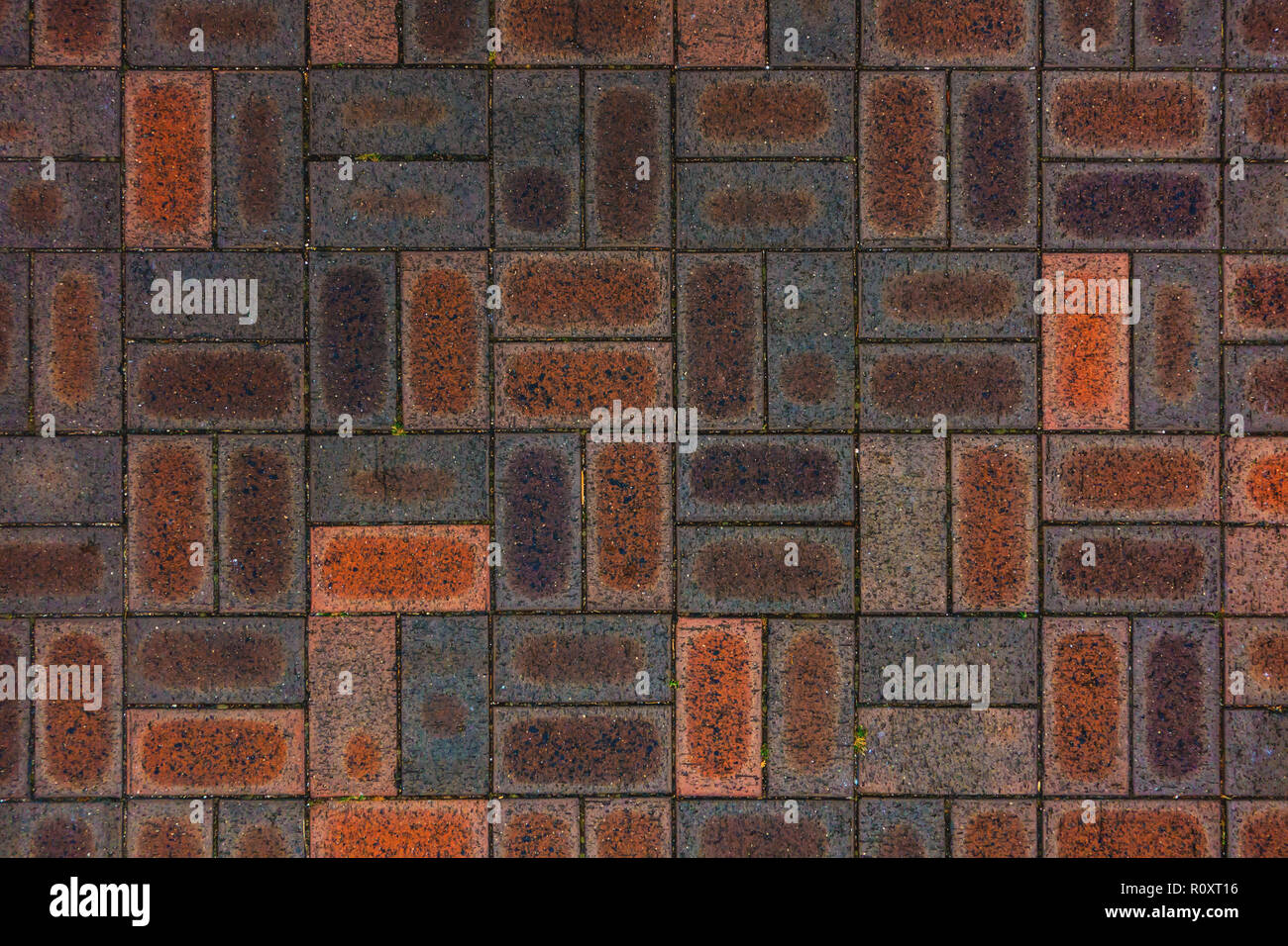 Wet Red brick block floor for texture and background Stock Photo - Alamy