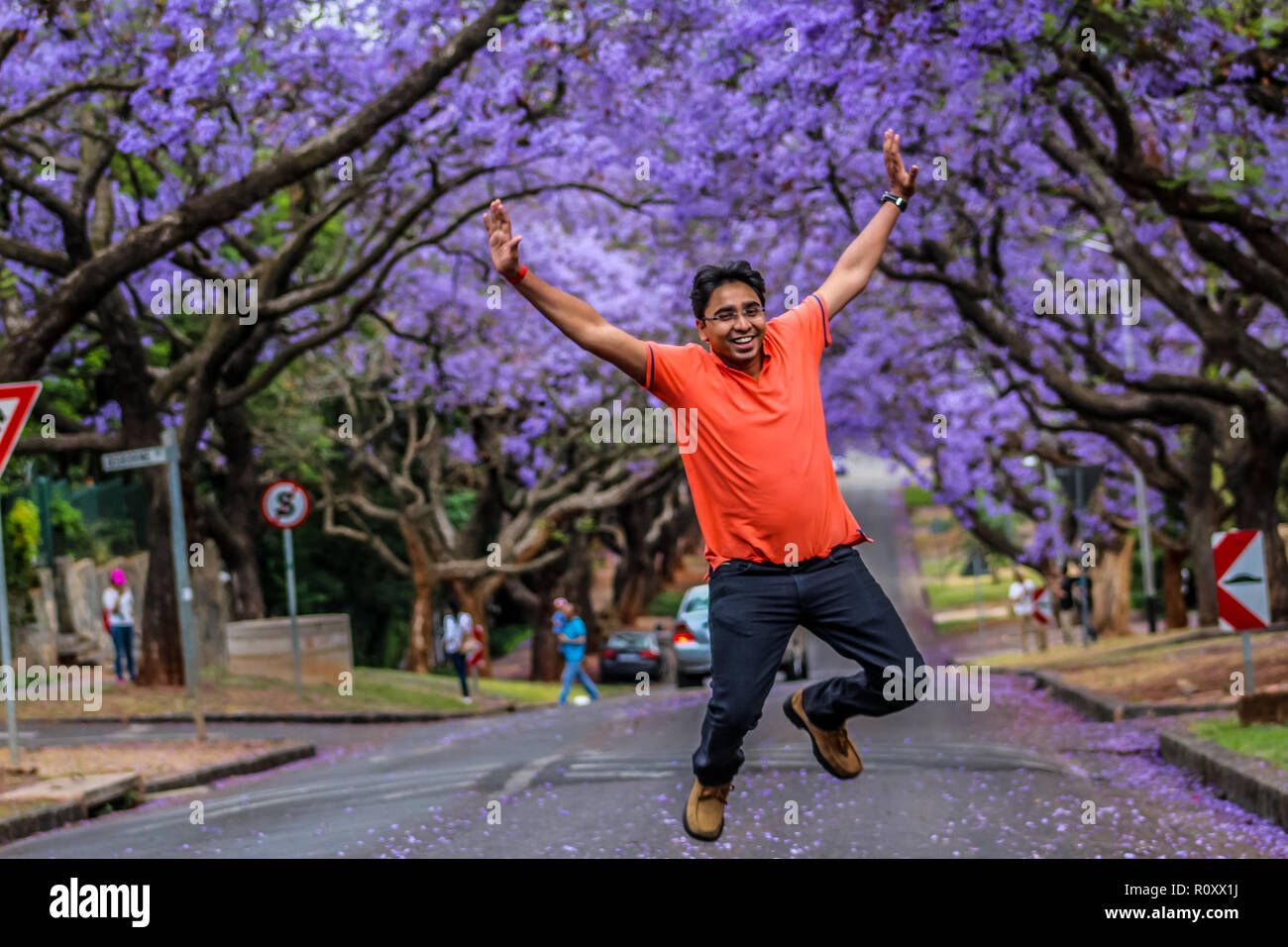 People doing acrobatics in Jacaranda Street in Pretoria South Africa ...